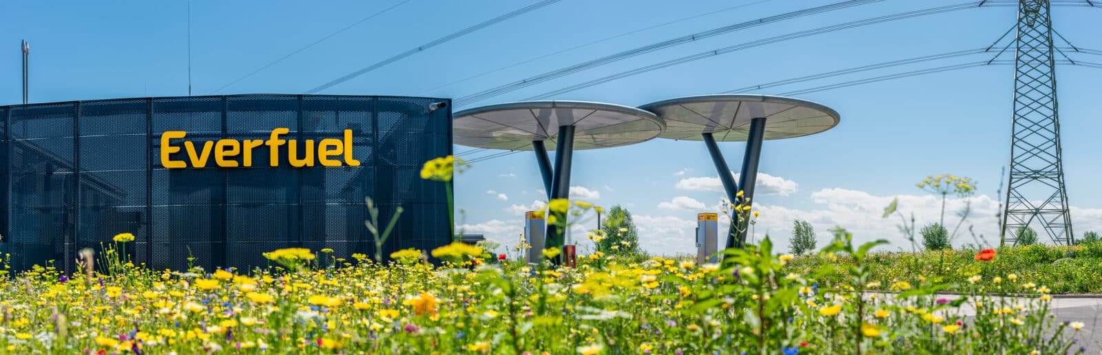 Home [www.everfuel.com]