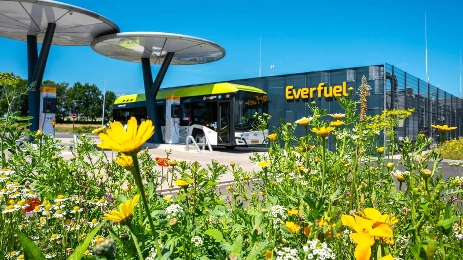 Hydrogen map - Everfuel.com